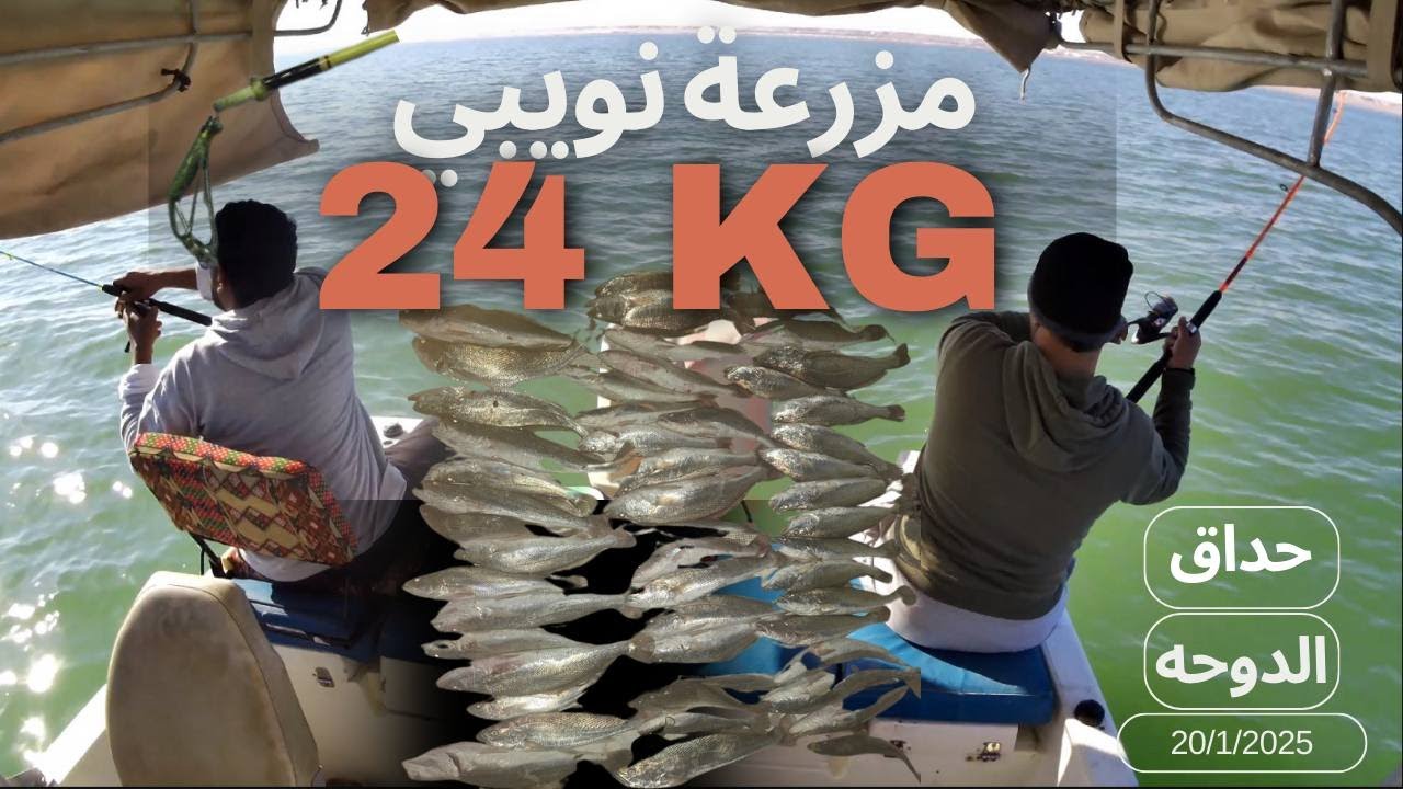 معركة ( ام المزارع ) 52 نويبي حداق #جون_الكويت , fishing at Kuwait Bay ...