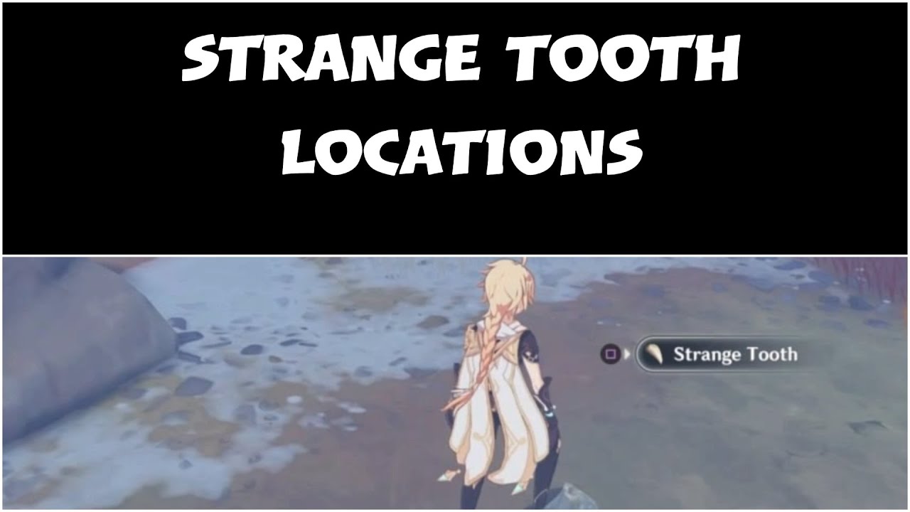 Look For The Strange Tooth Genshin Impact Locations Guide YouTube look-for-the-strange-tooth-genshin-impact-locations-guide-youtube