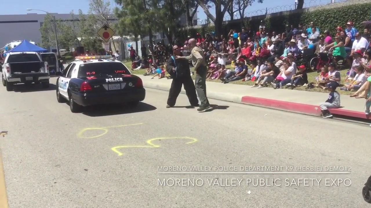 Moreno valley police department K9 demo #2 - YouTube
