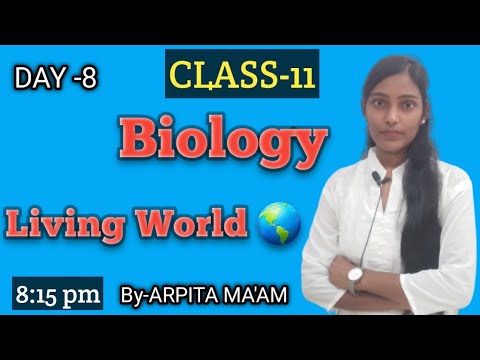 Class 11 - YouTube