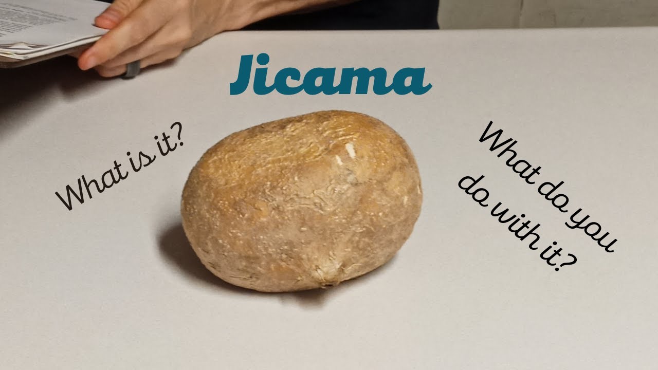 "Jicama" - What is it and What do you do with it? - YouTube