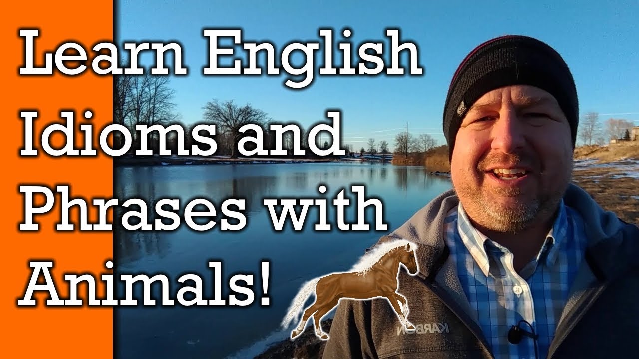 Animal Idioms! Learn English Idioms, Phrases and Expressions with ...