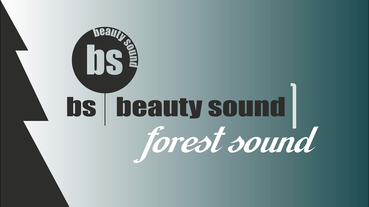 звуки леса | 1 | forest sound | natural forest sounds - [4K] - YouTube