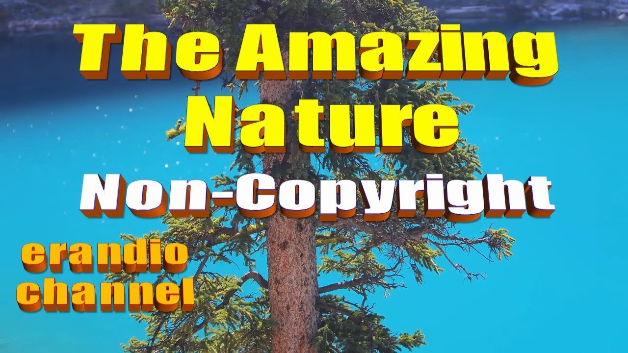 100% Free - Non-Copyright / The Amazing Nature For Free background ...