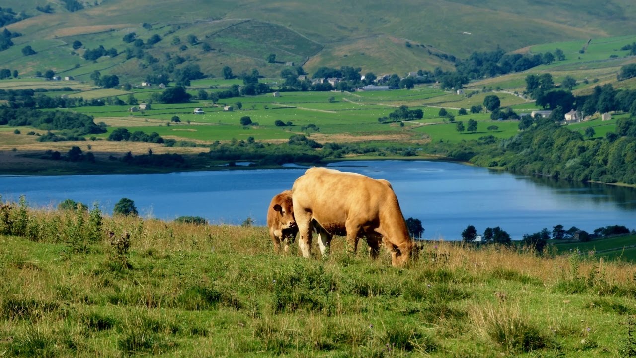 Semerwater & Stalling Busk, Yorkshire Dales - 8 August 2022 - YouTube