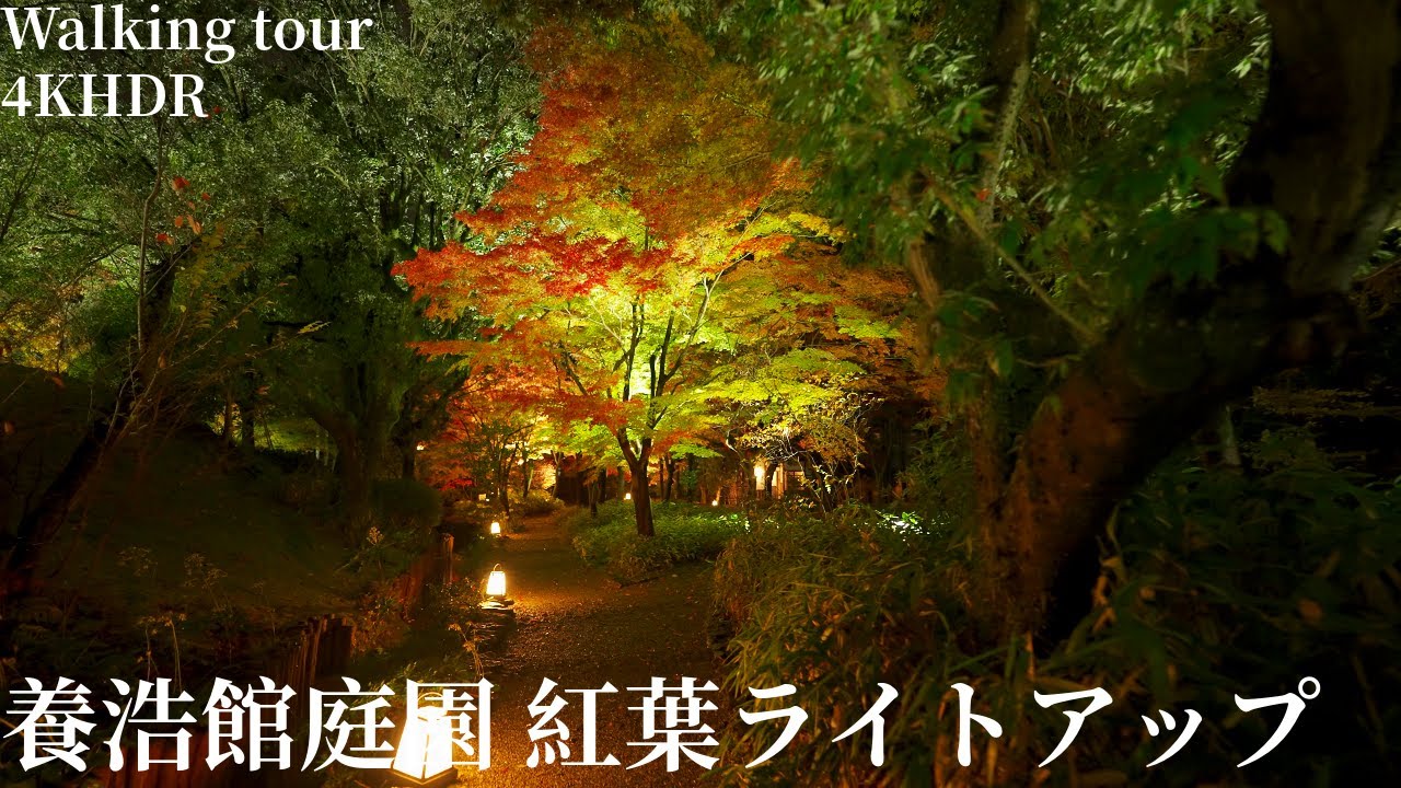 養浩館庭園 紅葉ライトアップ 散策 福井県福井市 4KHDR - YouTube
