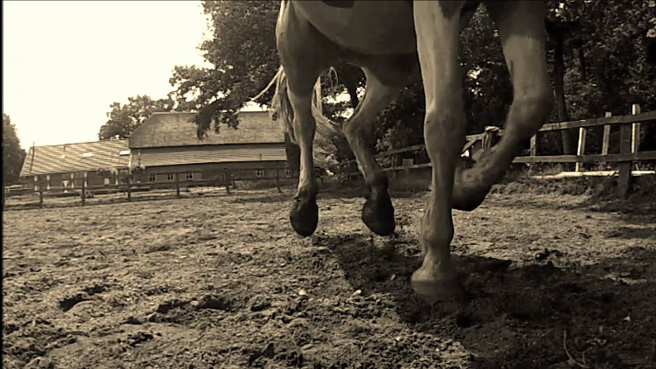 GoPro slow motion jumping with horse - YouTube