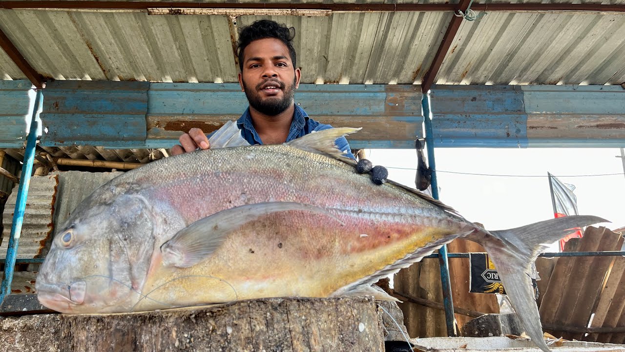 BIG PAARAI FISH 🐠 CUTTING BY YOUNG CUTTER YUVARAJ ⚔️🔥 - YouTube