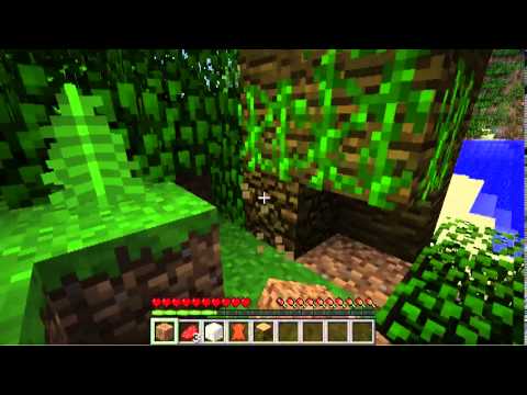 Let's play minecraft!!! - YouTube
