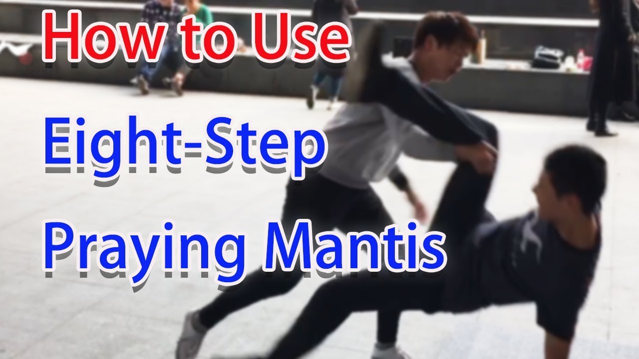 How to Use Eight-Step Praying Mantis Kung Fu # 2 / Self-Defense / Leon ...
