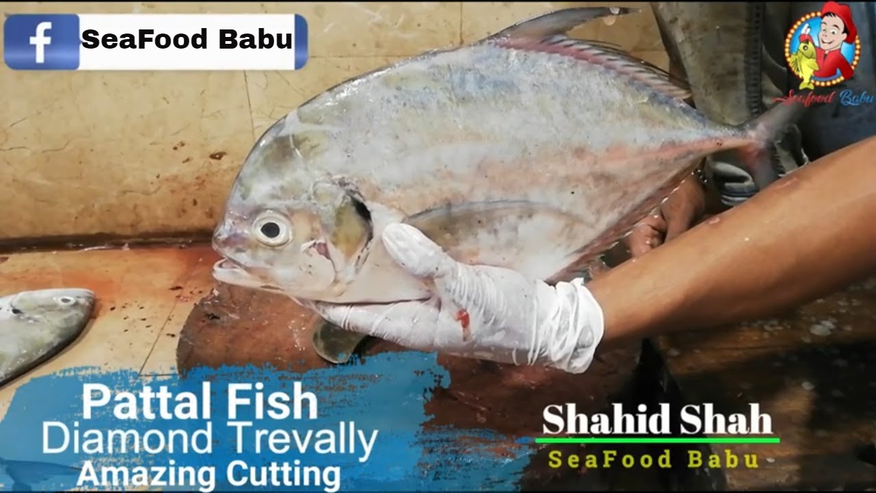 Pattal Diamond Trevally live cutting in fish market | how to cut fish ...