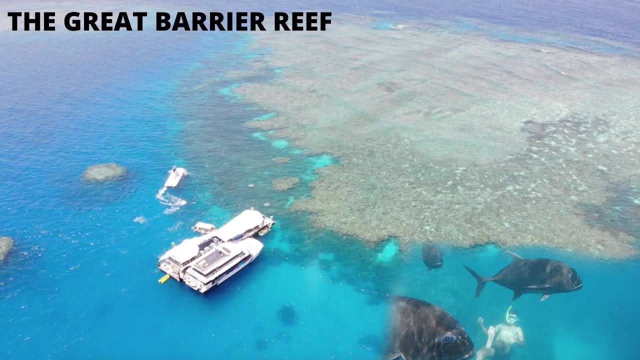 GREAT BARRIER REEF UP CLOSE VLOG | Amazing Drone Footage - YouTube