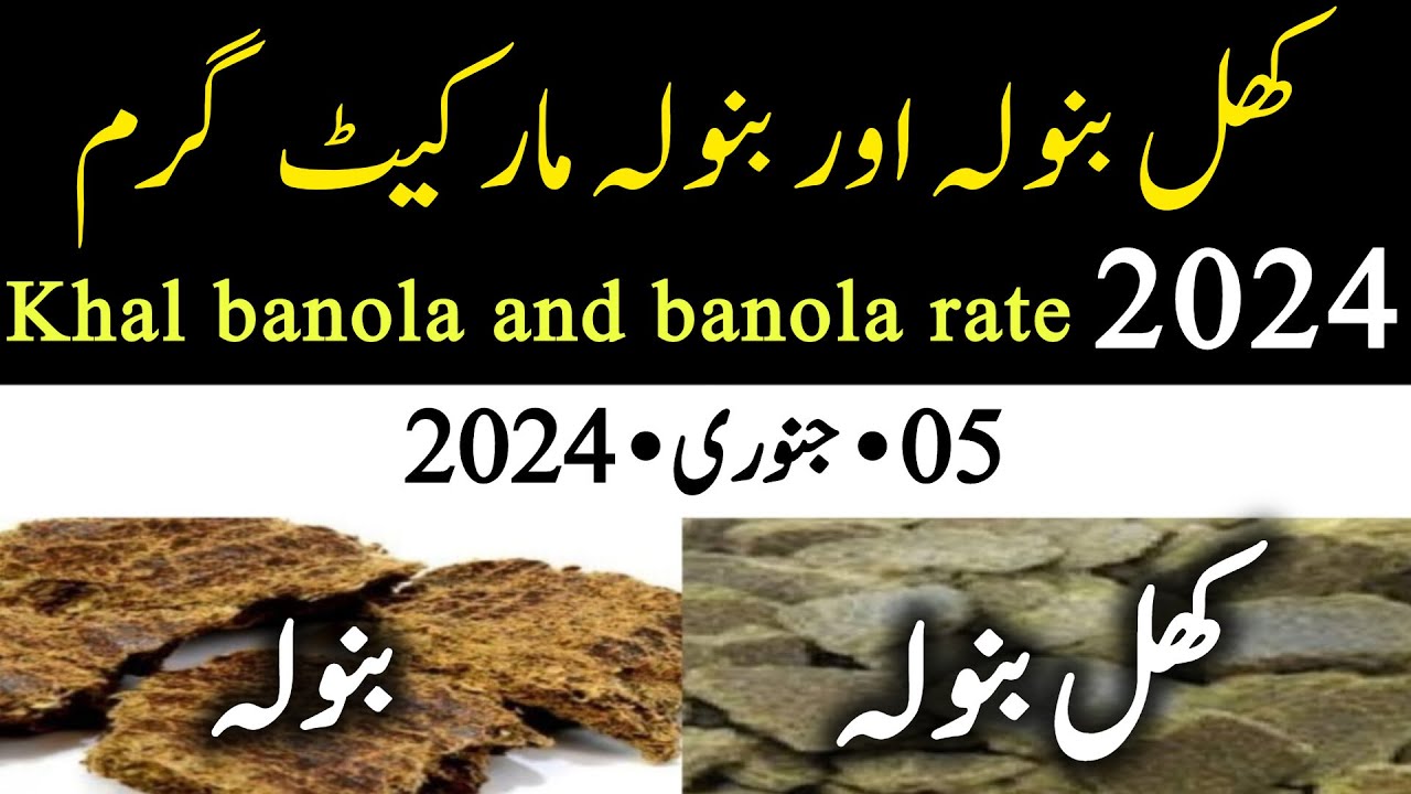 Khal banola or banola rate today 2024 - YouTube
