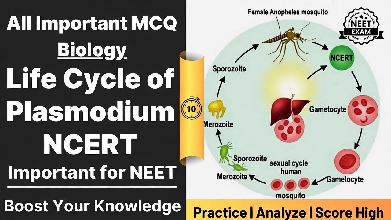 Life Cycle of Plasmodium | Important MCQs | NCERT | Class 12 Biology ...
