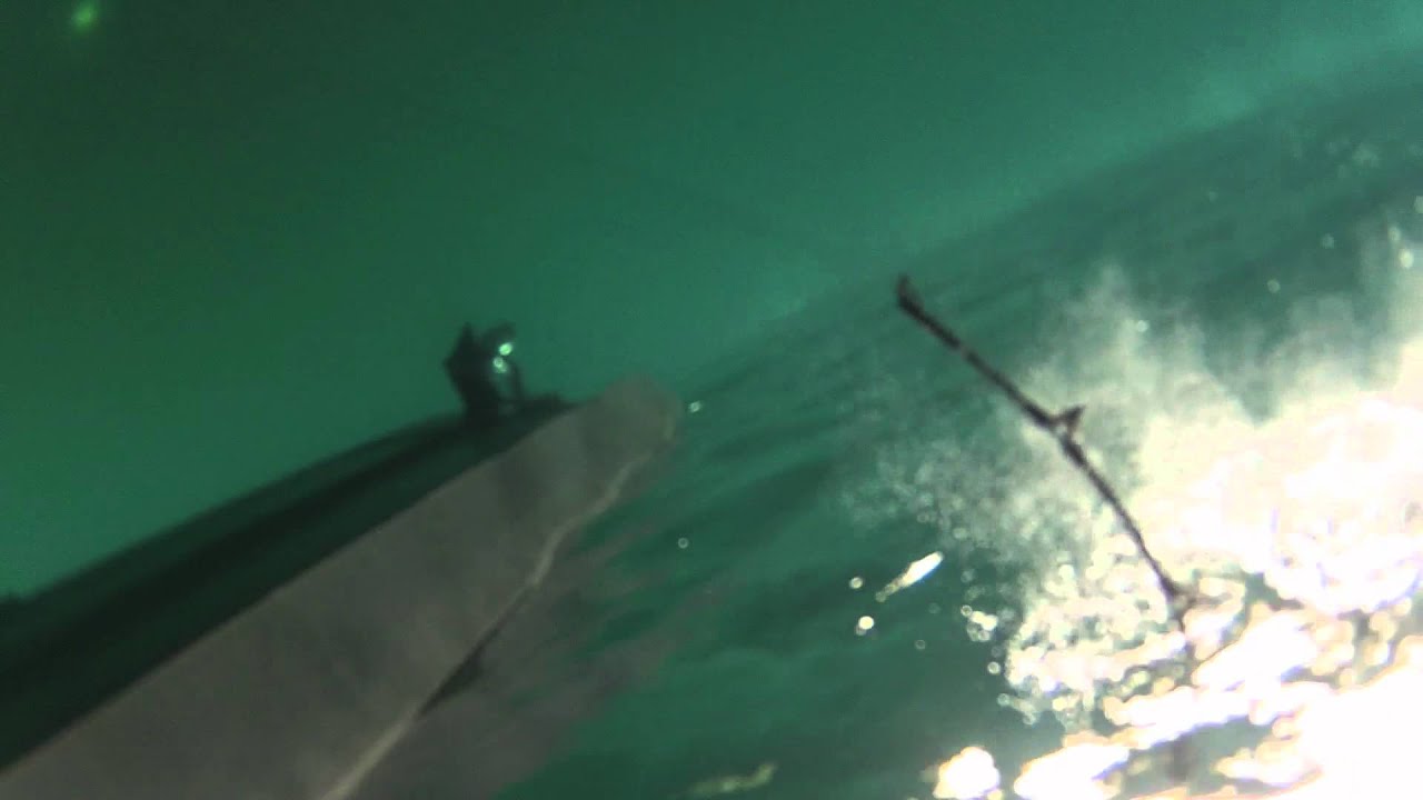 Trophy Halibut Fishing in Prince William Sound - YouTube