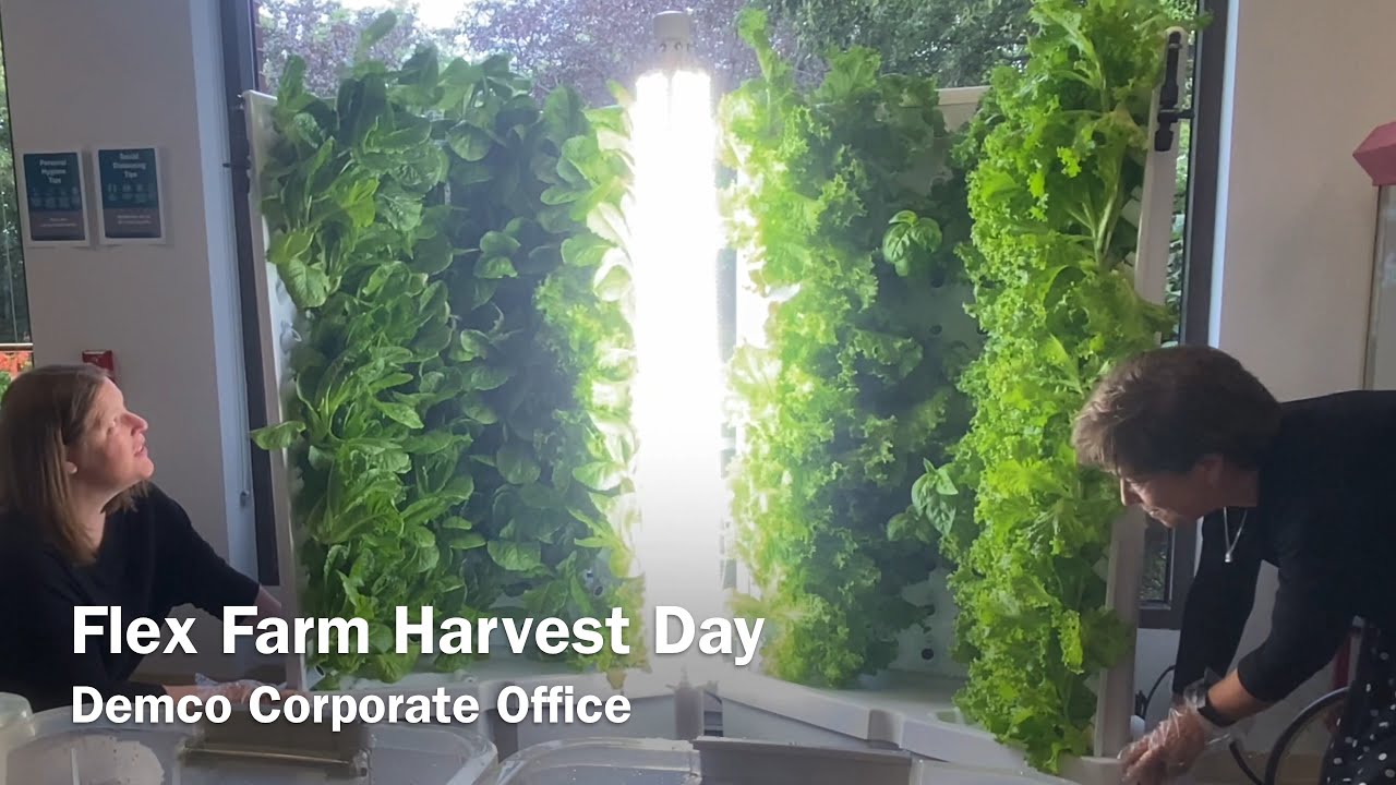 Flex Farm Harvest Day - YouTube