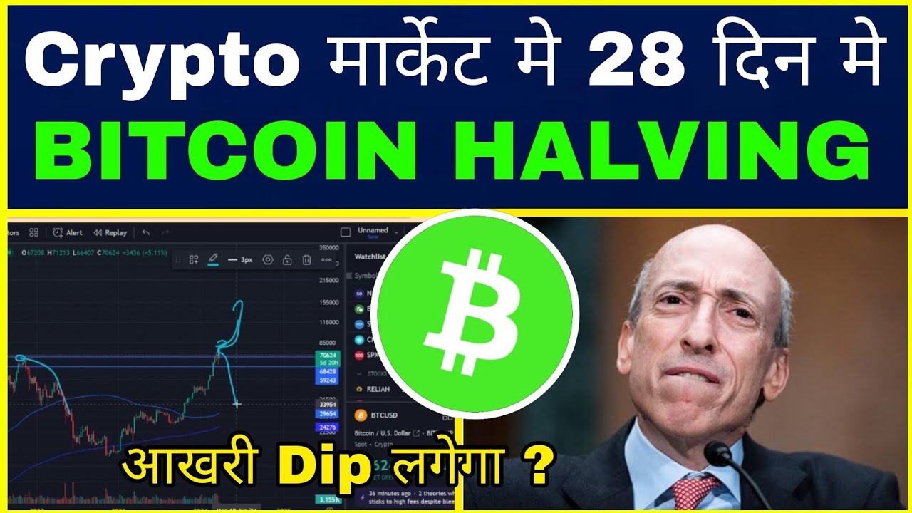 🔴Crypto मार्केट मे 28 दिन मे BTC Halving 🐋 आखरी Dump आयेगा ? Alts Dip ...