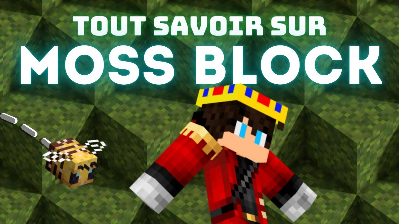 Minecraft: tout savoir sur le Moss Block - YouTube