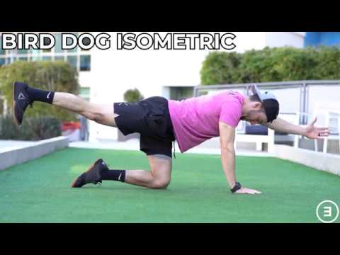 Bird Dog Isometric - YouTube
