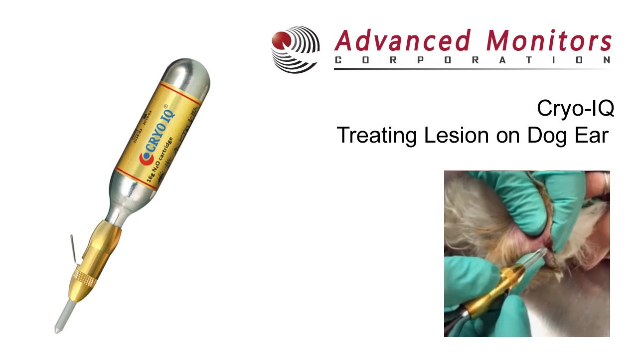 Dr Schwartz Cryosurgery on a Dog Using CryoIQ PRO Cryo Pen with D3 Tip ...