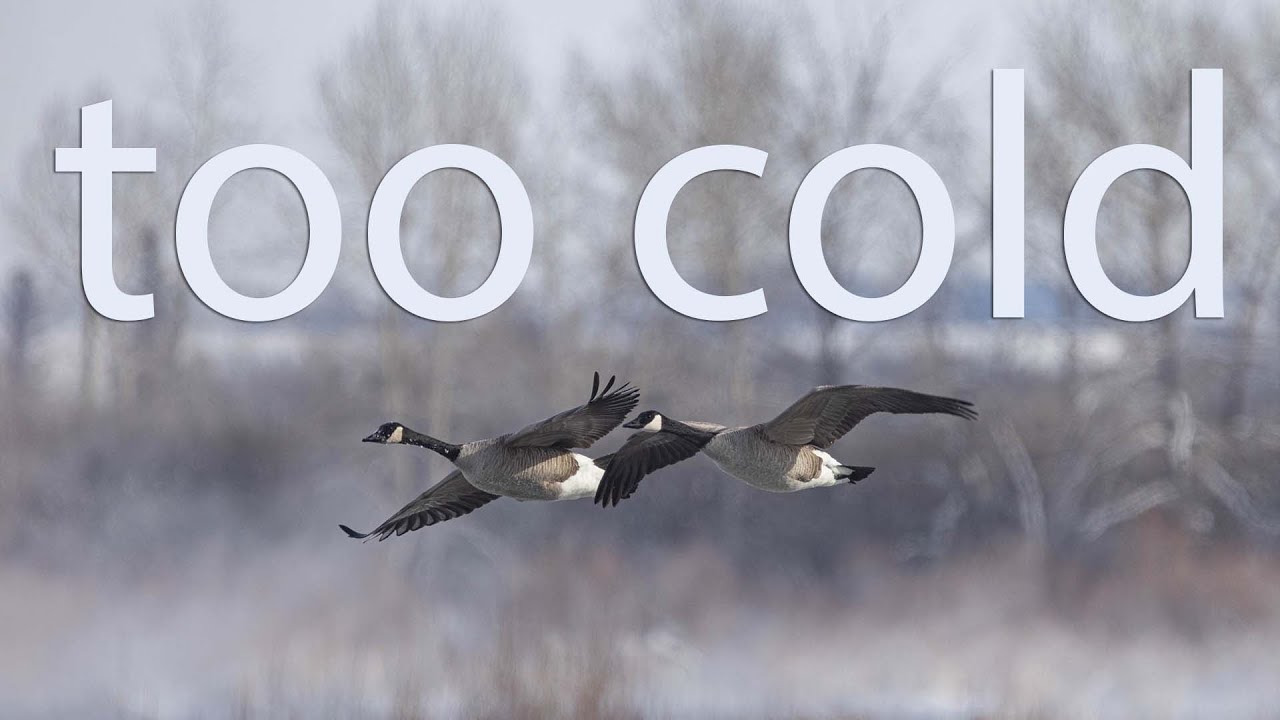 Too Cold - YouTube