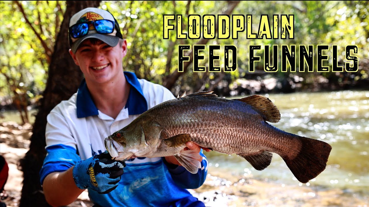FEED Funnels- Barra Fishing floodplain culverts - YouTube