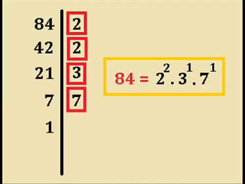 Explicación Matemática MCM y DCM? - YouTube