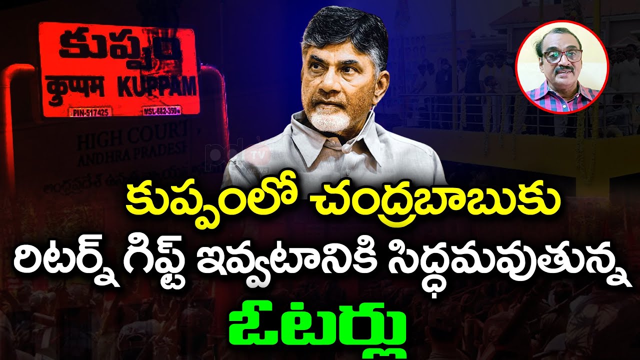 Sr Journalist Krishnam Raju Analysis On Kuppam Constituency : PDTV News ...