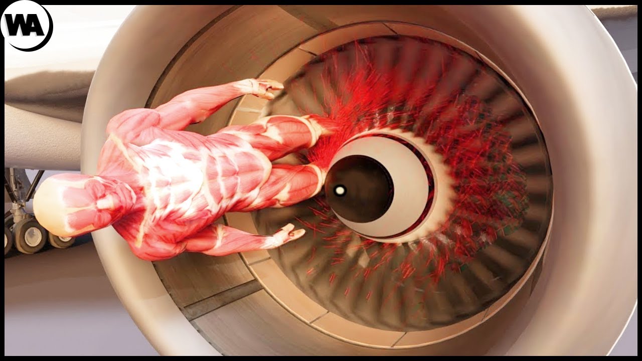 This Is Why You'll Survive If You Get Into the Turbine of an Airplane ...