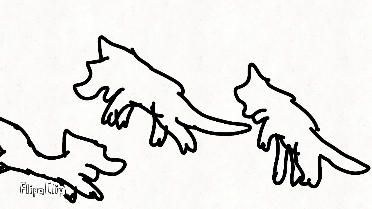 Wolf fight#animation - YouTube