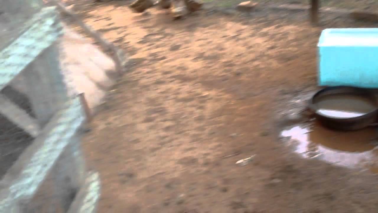 Episode: 1 Urban Duck Life - YouTube