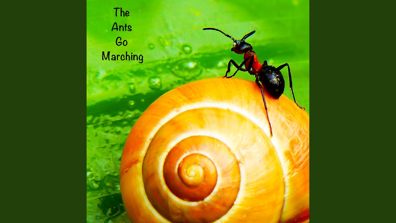 The Ants Go Marching - YouTube