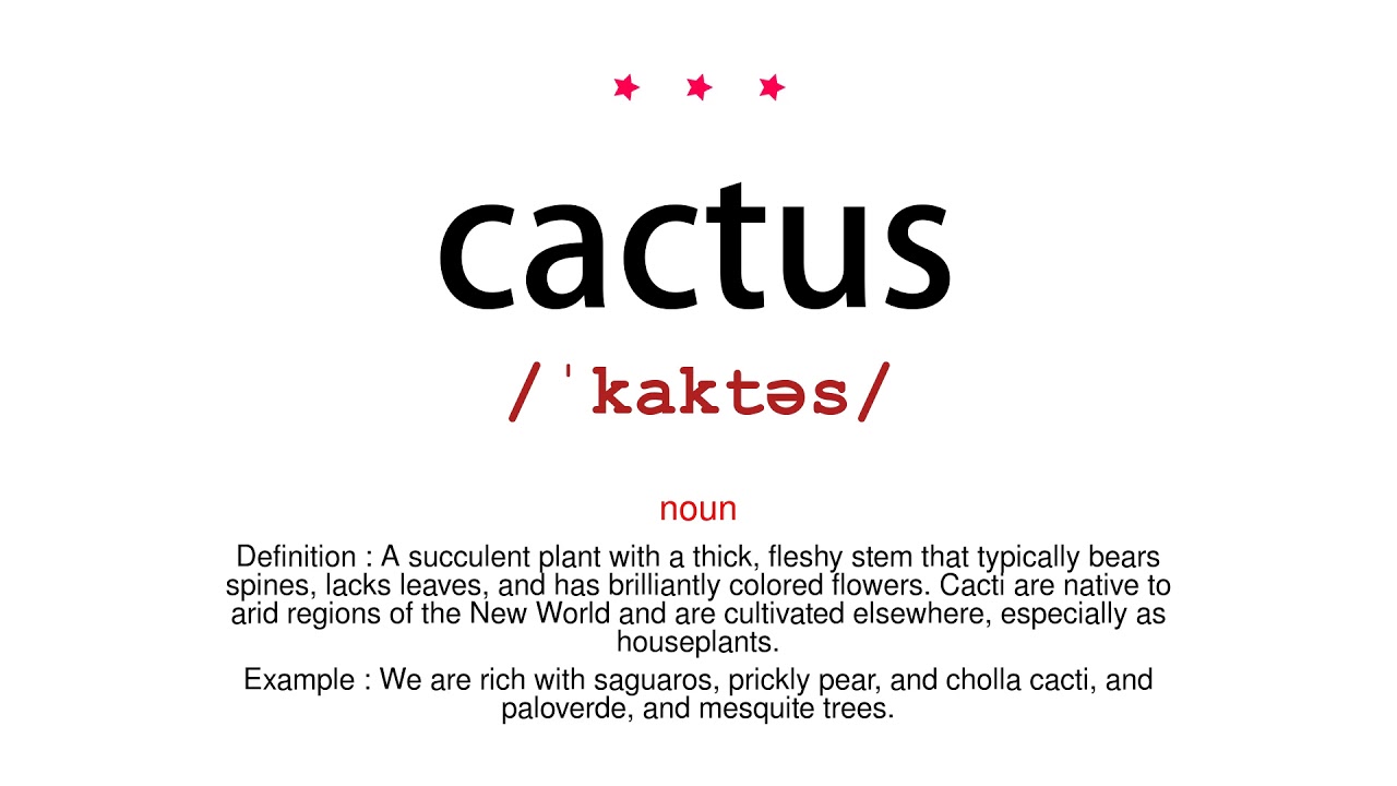 How to pronounce cactus - Vocab Today - YouTube