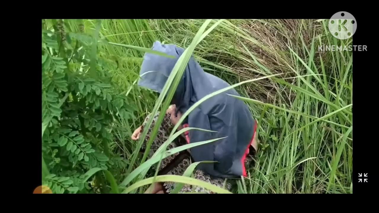 poj niam hmoob nyiag deev hluas nraug. - YouTube