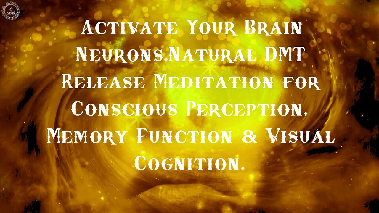Music to Activate Brain Neurons to Full Potential | Natural DMT Release ...