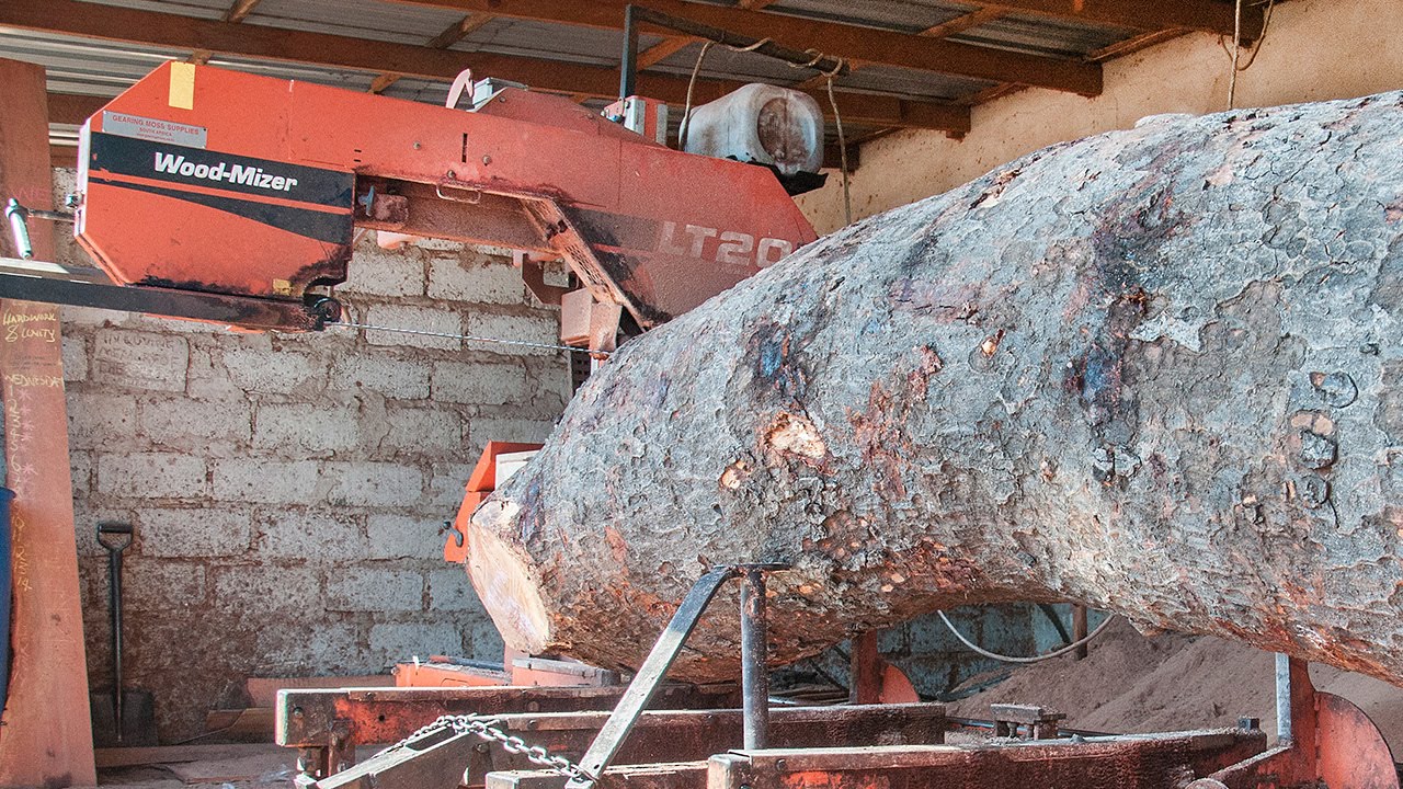 LT20 Sawmills cut rosewood timber in Zambia - Africa Wood-Mizer - YouTube