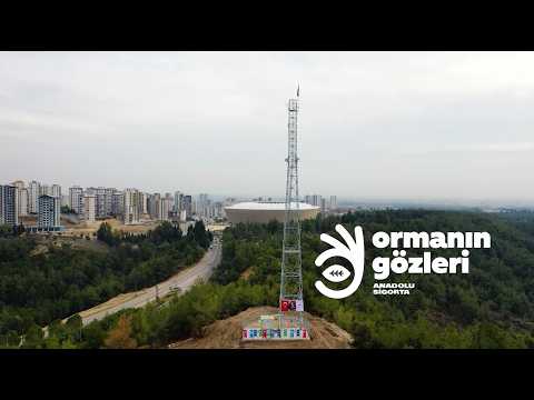 Anadolu Sigorta | Ormanın Gözleri Belgeseli 2026