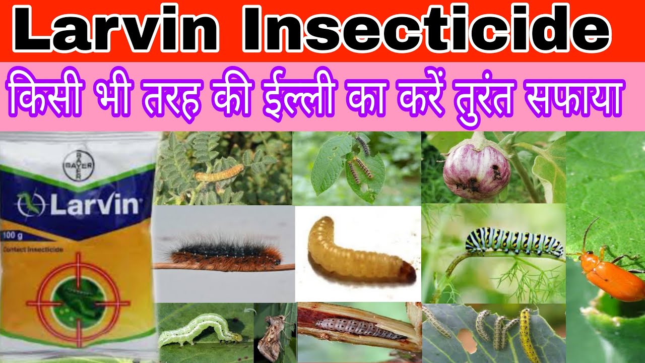larvin Insecticide | larvin kitnashak | bayer larvin Insecticide ...