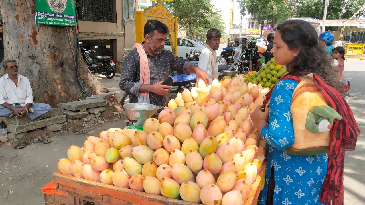 Mysore Mango. Look how big their Mangos. - YouTube