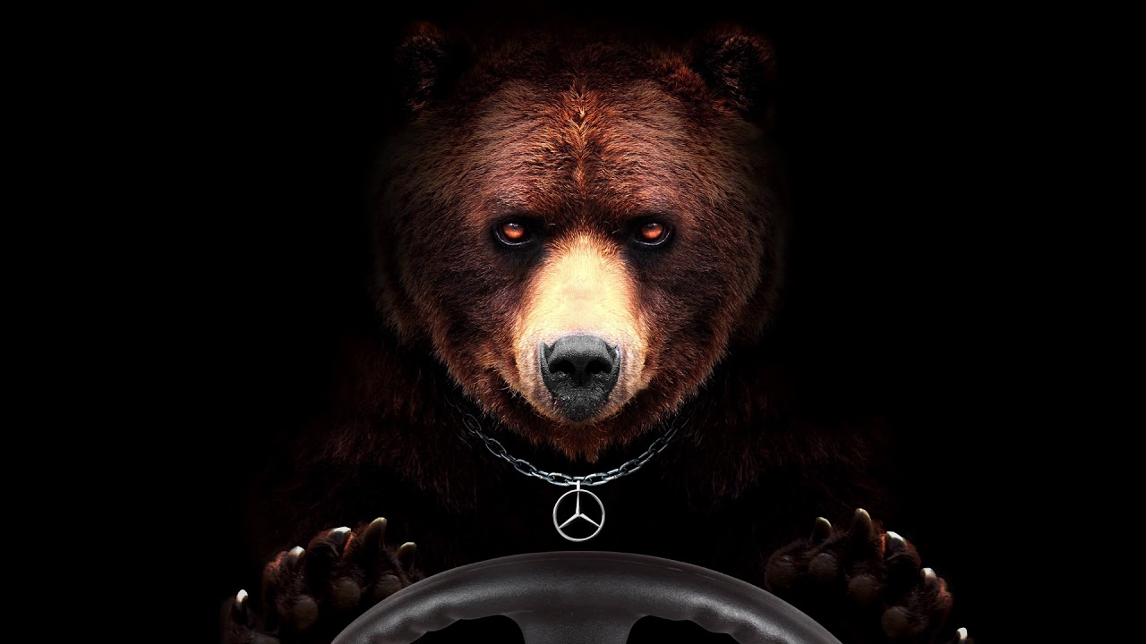 medved fullHD - YouTube