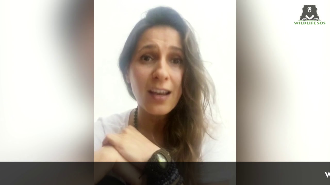 Ramona Arena on Refuse to Ride - YouTube