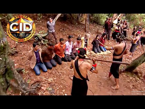 বন্য মানুষের হাতে ধরা পড়ে সিআইডি দল  || সিআইডি CID || bengali crime series- 2024