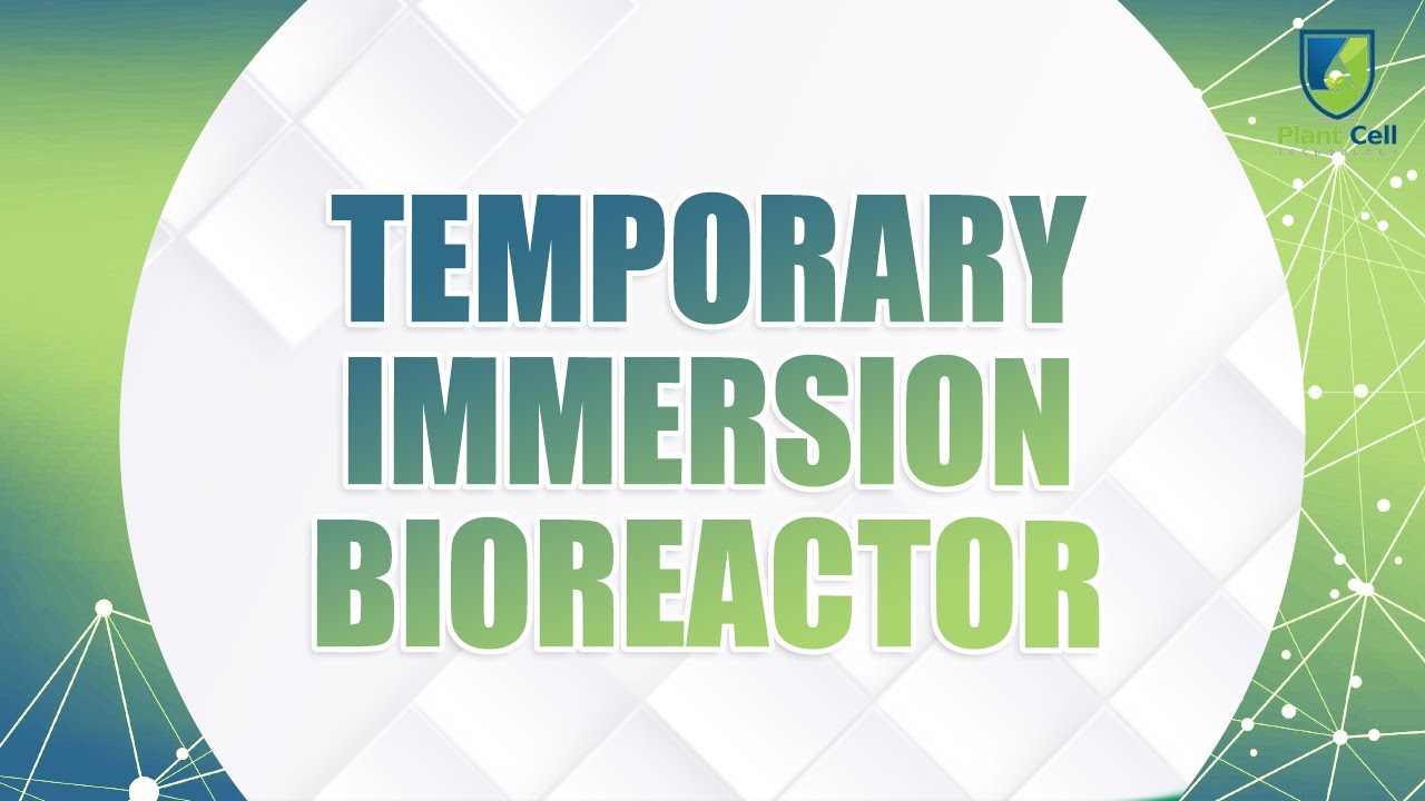 Take a Look at Our Temporary Immersion Bioreactor (Alternanthera ...