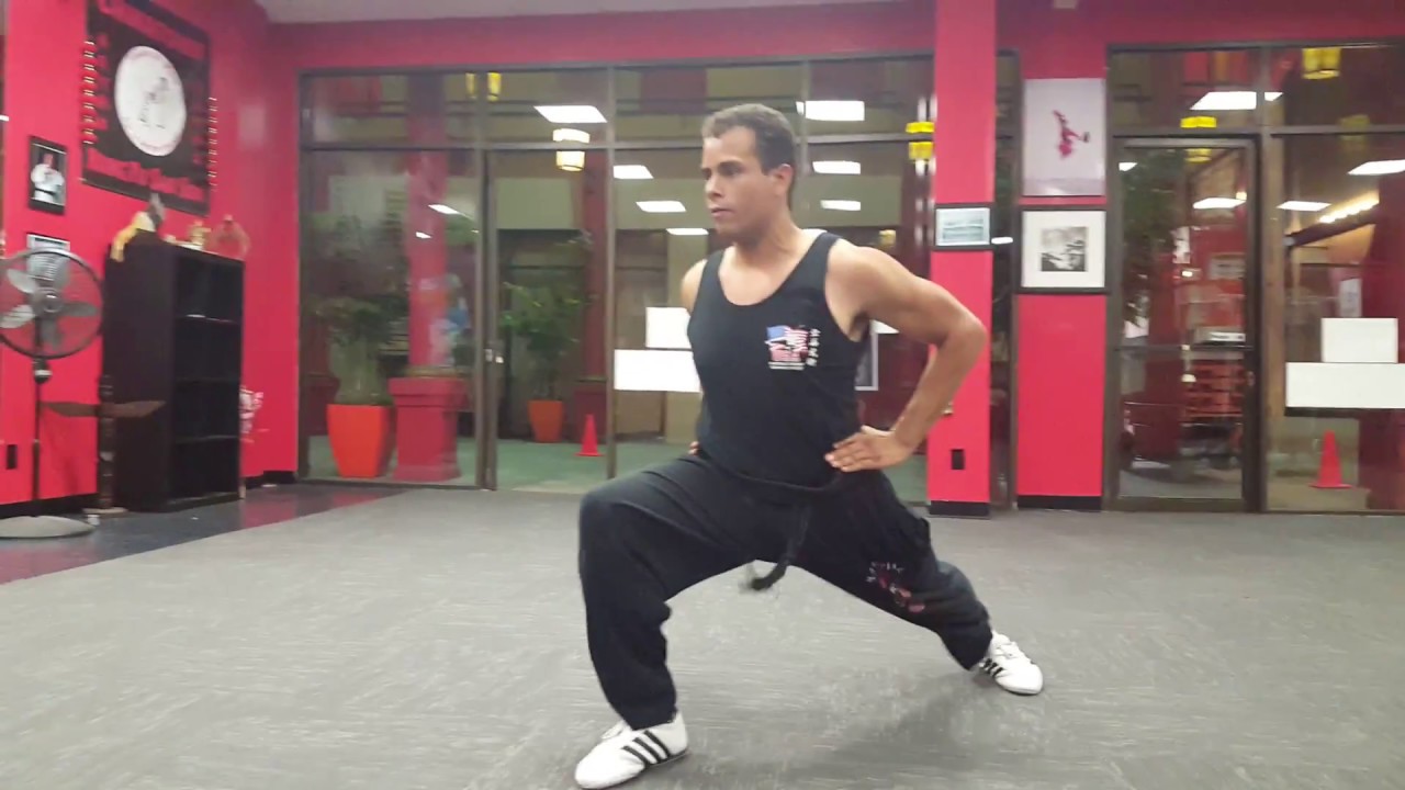 Lv-9 - Southern Fist (Stances) - YouTube