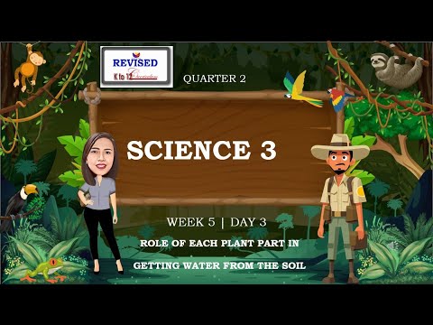 SCIENCE 3 Quarter 2 Week 5| Day 3 REVISED K TO 12 - YouTube