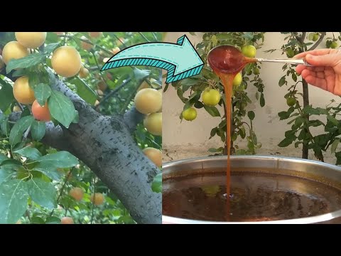 ERİK EKŞİSİ NASIL YAPILIR \\NAR EKŞİSİNİ TAHTINDAN İNDİRECEK \\MALATYANIN MEŞHUR ERİK EKŞİSİ