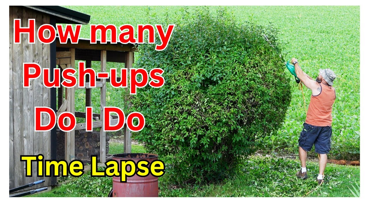 How Many push ups??? Trimming my Bush (time-lapse) - YouTube