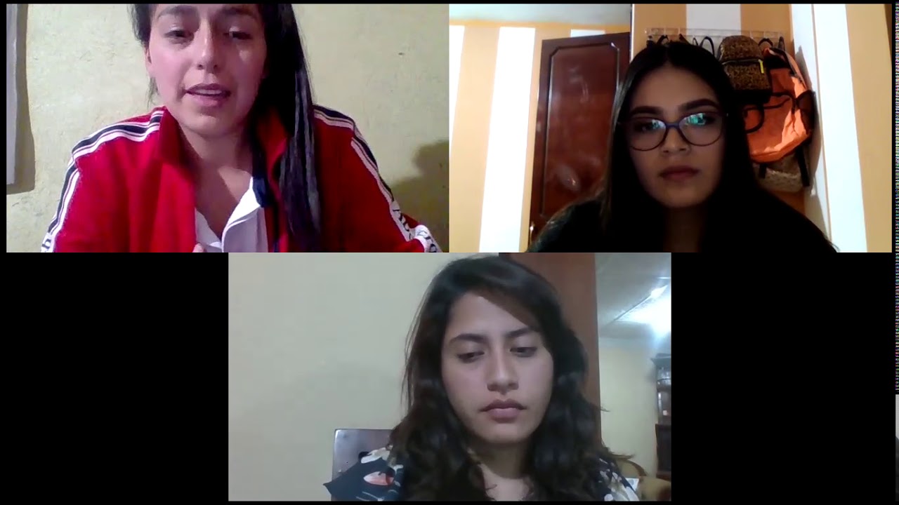 Modelo de Naomi Golan sobre la dinámica de las crisis - YouTube