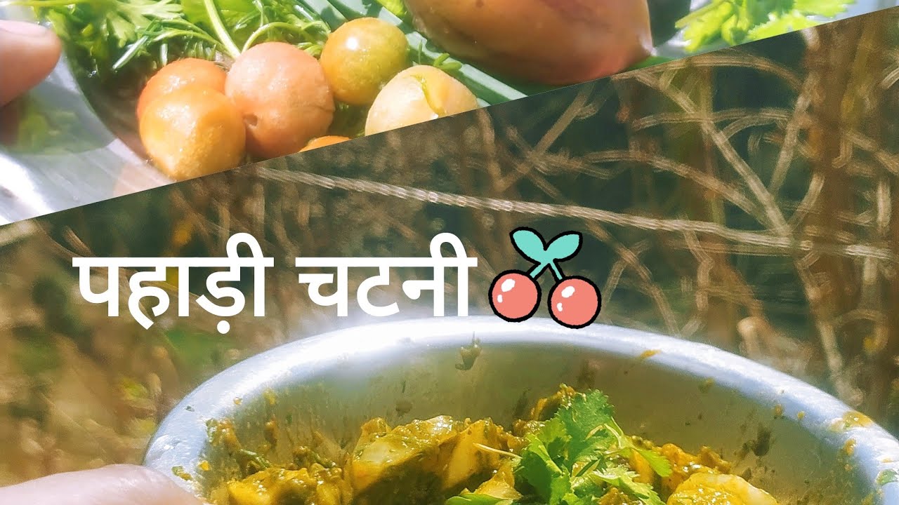 Pahadi Chutney of Wild tomatoes from my garden| My village traditional ...