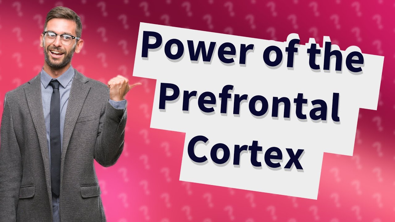 How Does the Prefrontal Cortex Affect My Brain's Functioning? - YouTube